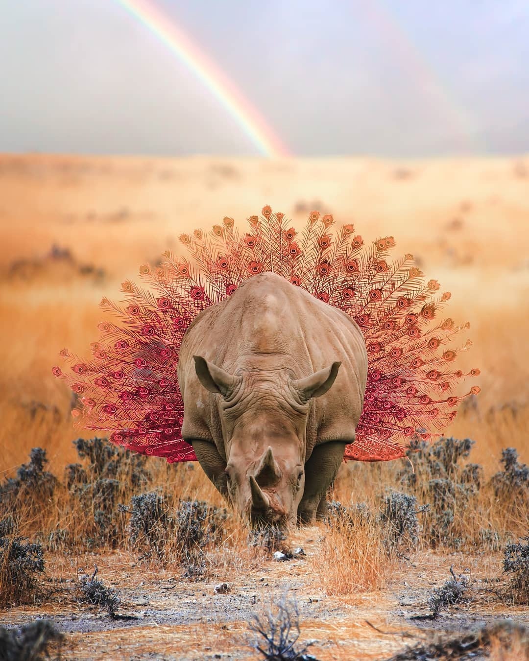 Удивительные кадры Milos Simic | Пикабу