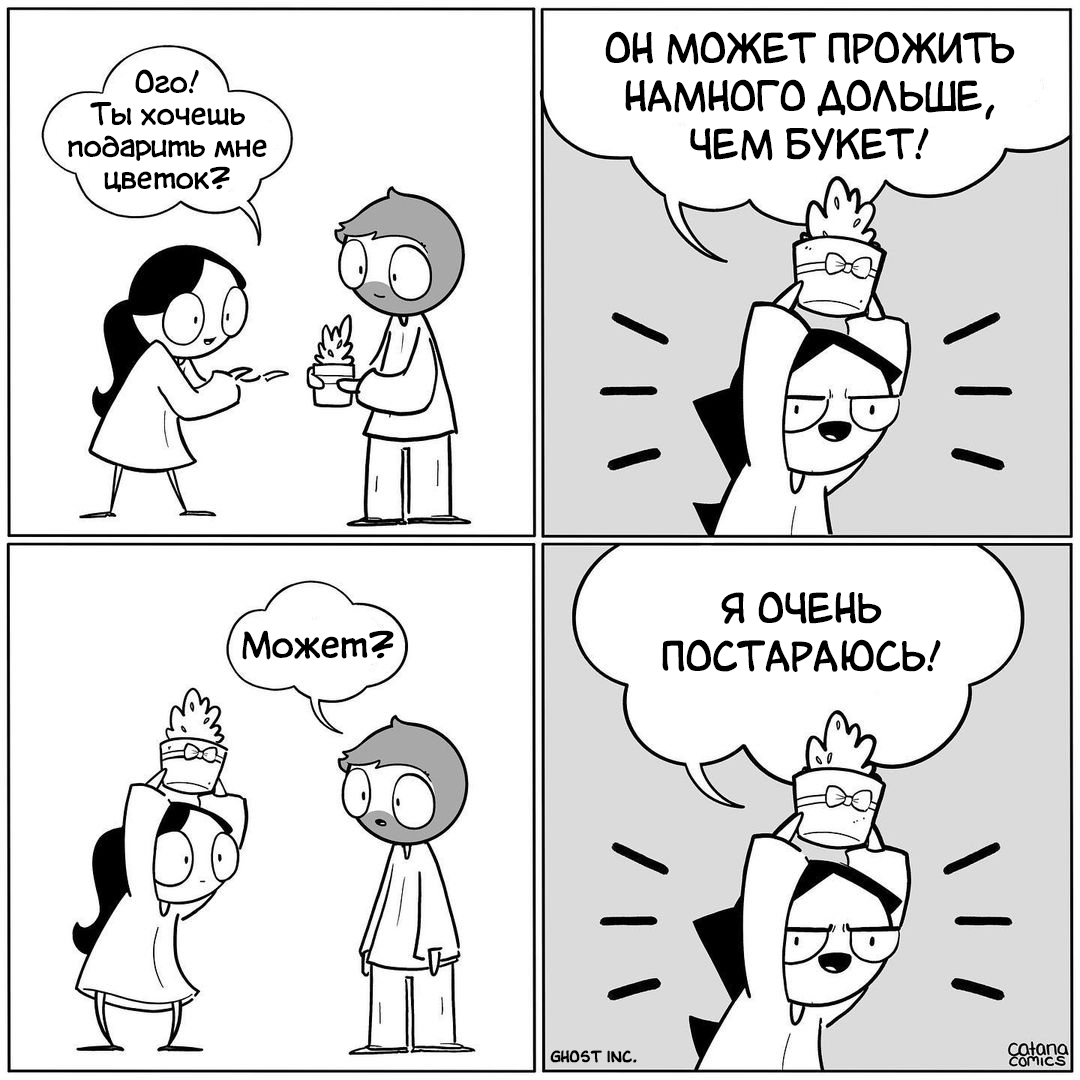 Цветок | Пикабу