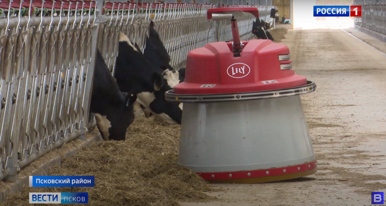 "Кибердеревня" за 3 млрд руб. Первая роботизированная молочная ферма в ...