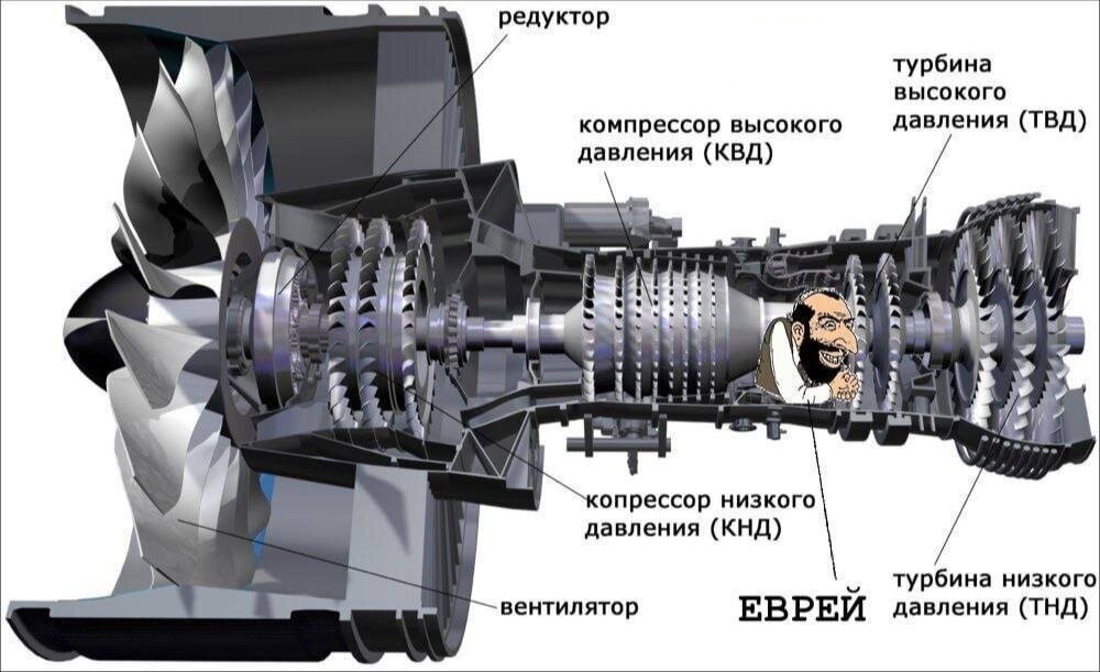 Ой вей... | Пикабу