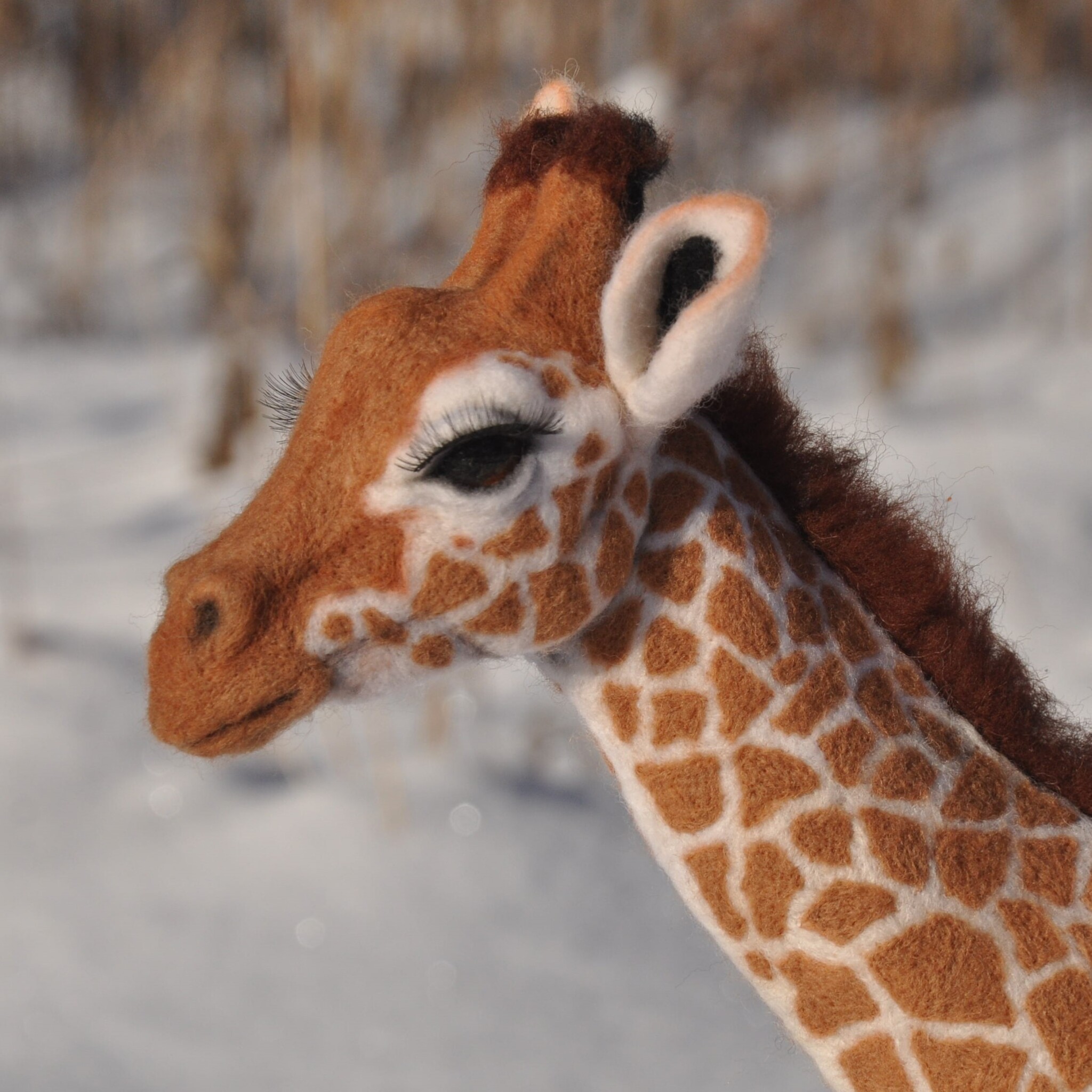 Жираф в снегах - 28.11.23 12:06 | Пикабу