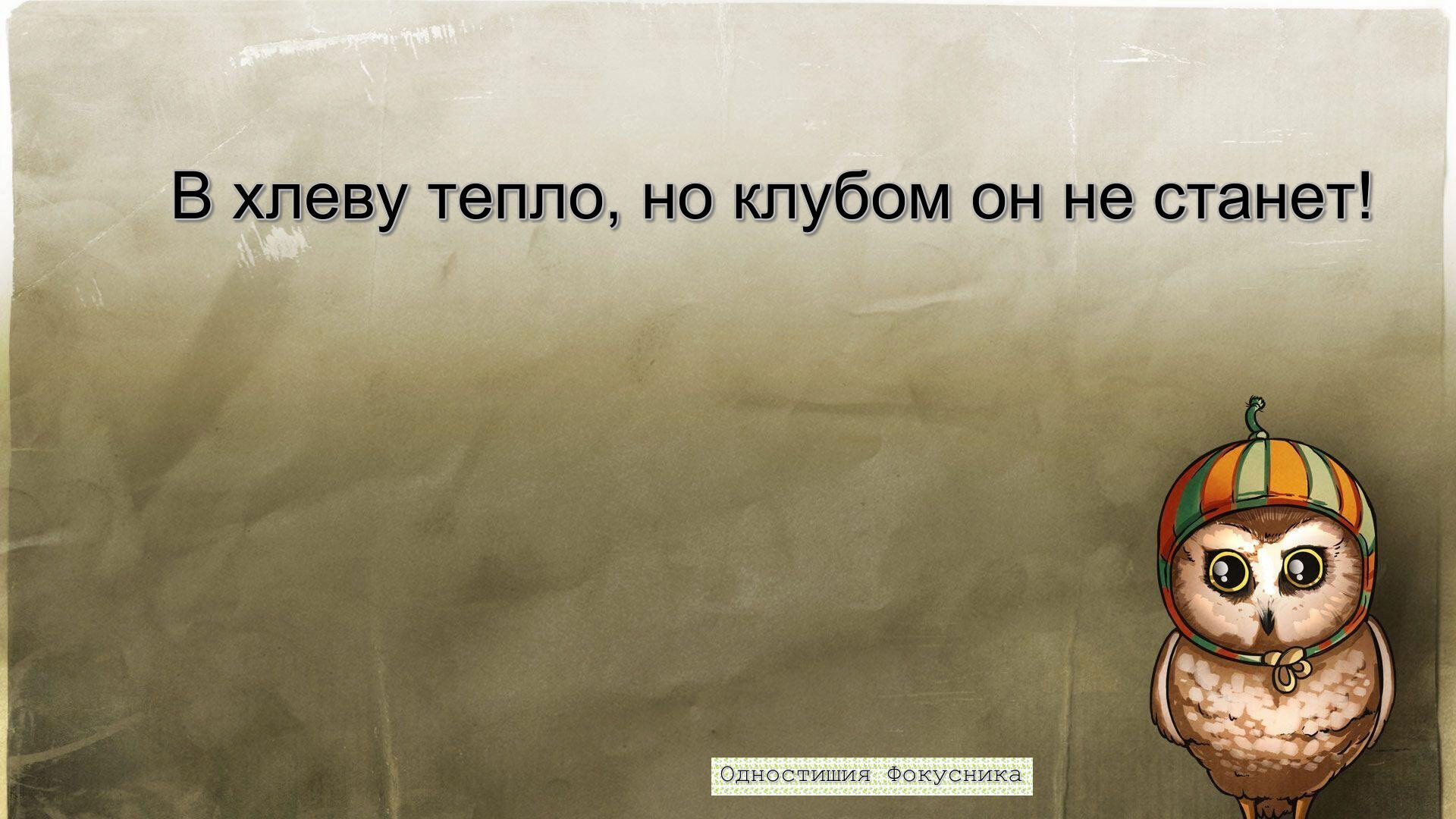 В хлеву | Пикабу