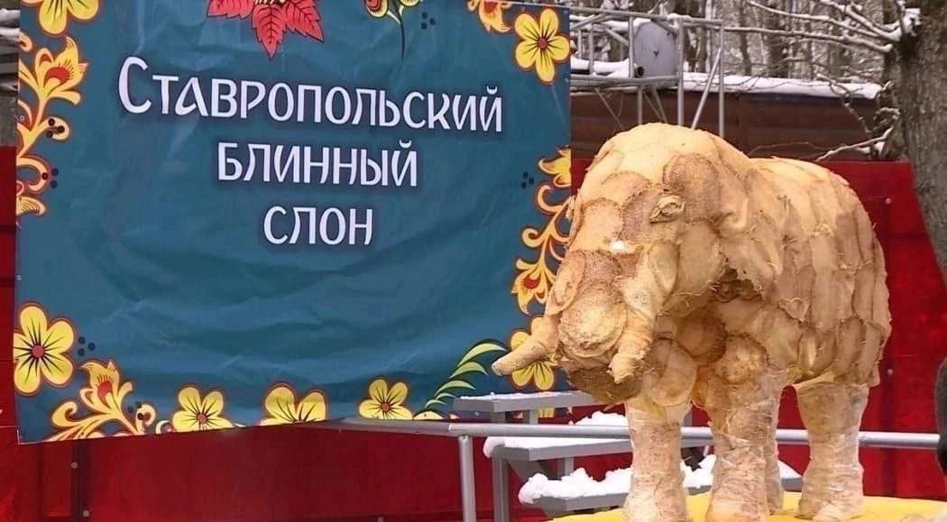 Просто, ставропольский блинный слон | Пикабу
