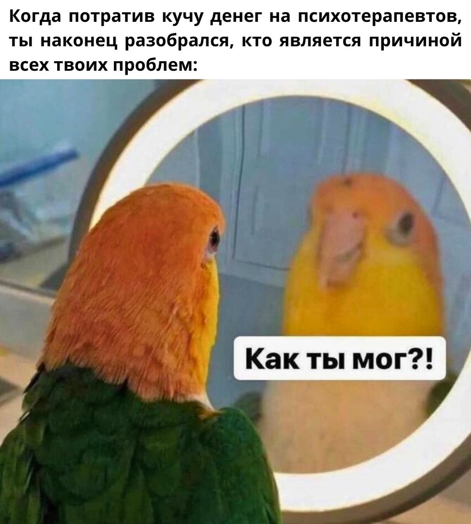 Озарение | Пикабу