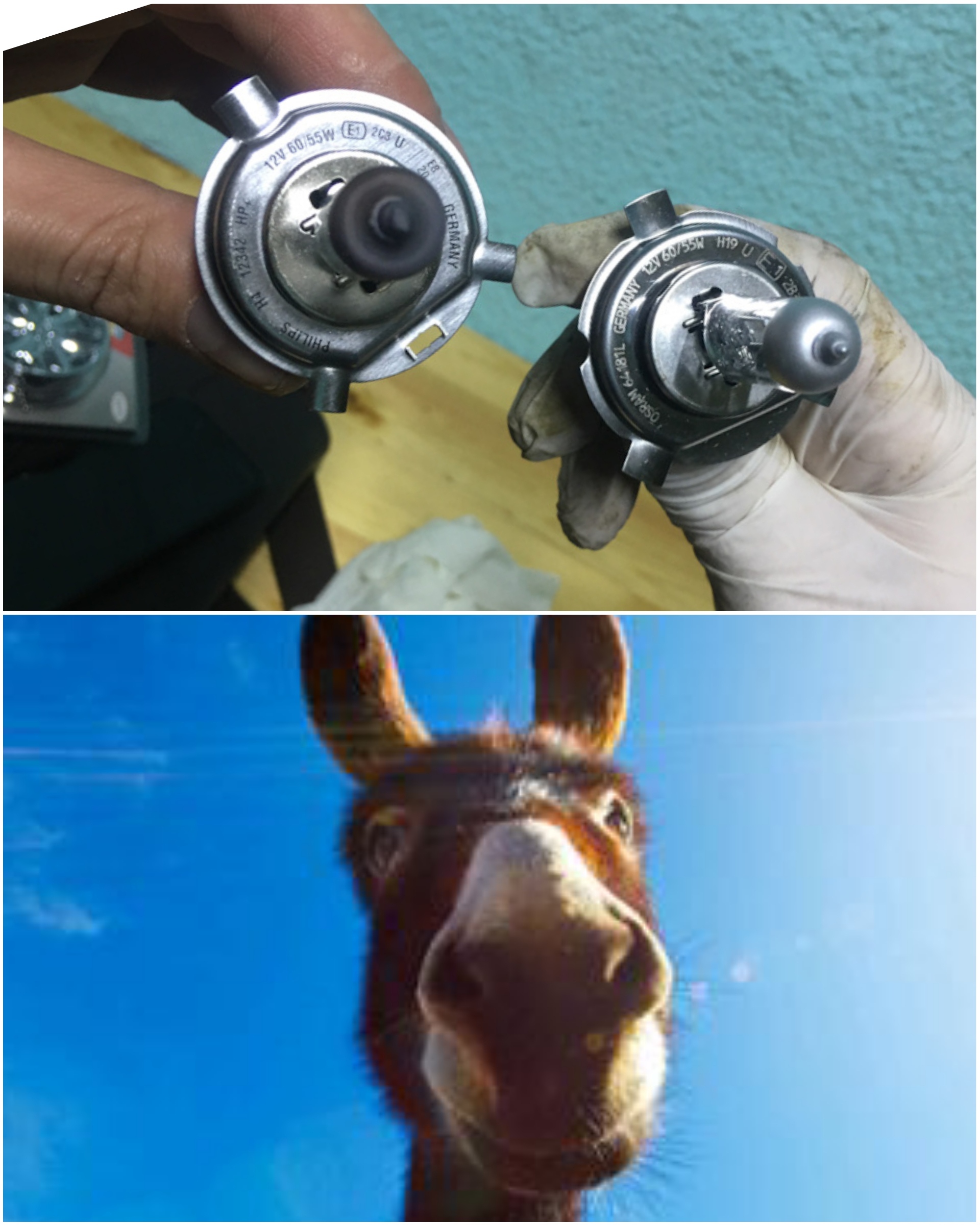 Отличия ламп H4 и H19 - 01.03.24 12:34 | Пикабу